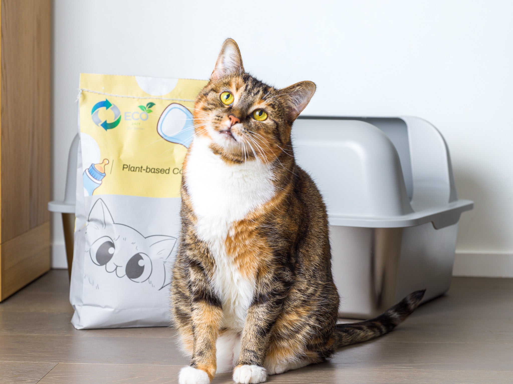 Cat Products – Eco 247